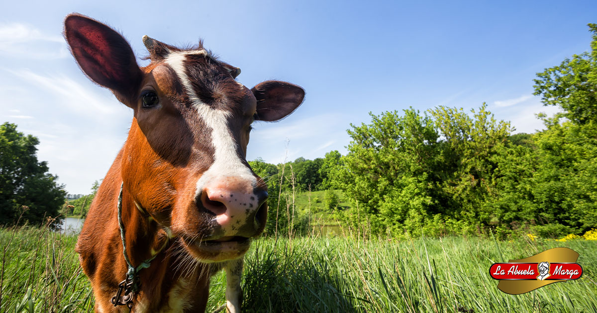 Dime qué comen y te diré cómo saben: el valor de su alimentación